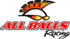 All Balls Racing All Balls Racing Gabel Reparatursätze mit allen ...