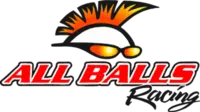 All Balls Racing All Balls Racing Gabel Reparatursätze mit allen ...